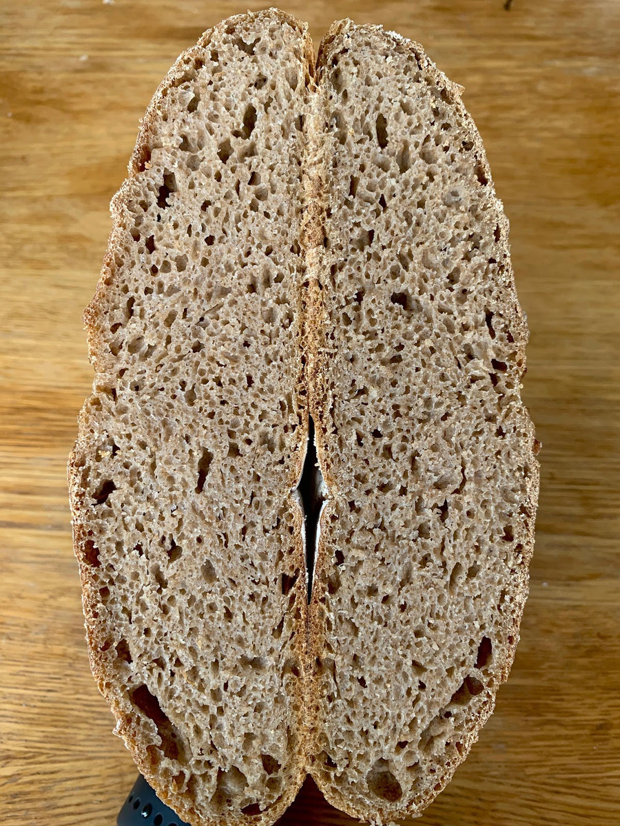 German Rye Sourdough Starter – Rye’s and Shine Sourdough